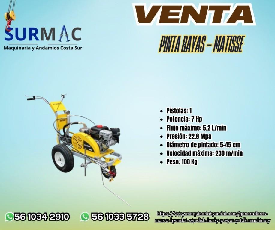 Pinta Rayas-MATISSE en Tamaulipas, tamaulipas